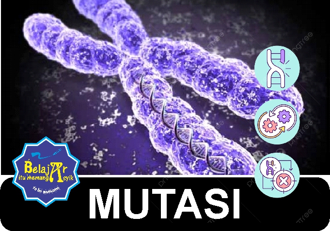 MUTASI GENETIK - Belajar Asyik